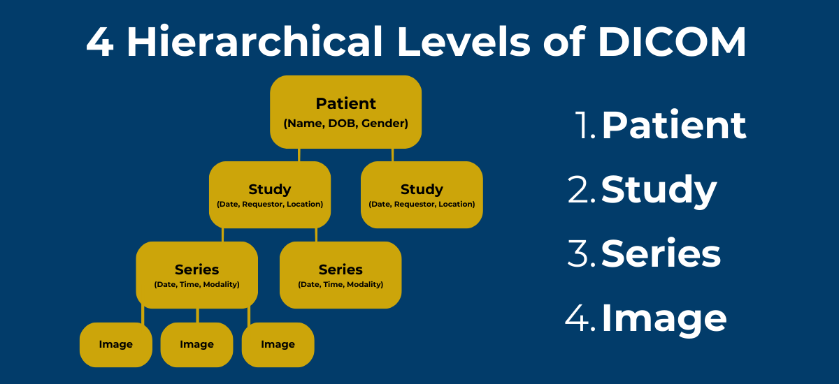 The 4 Hierarchical Levels Of Dicom